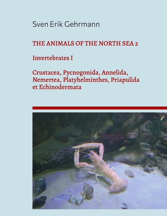 THE ANIMALS OF THE NORTH SEA 2 - The animals of the north sea 2 (ebook ...