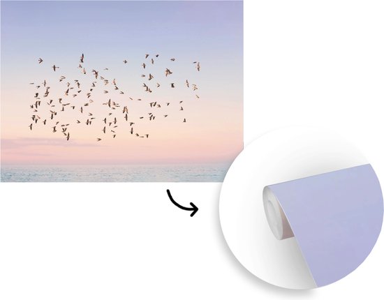 Vogels - Zee - Lucht - Natuur - Zomer - Behangpapier | bol