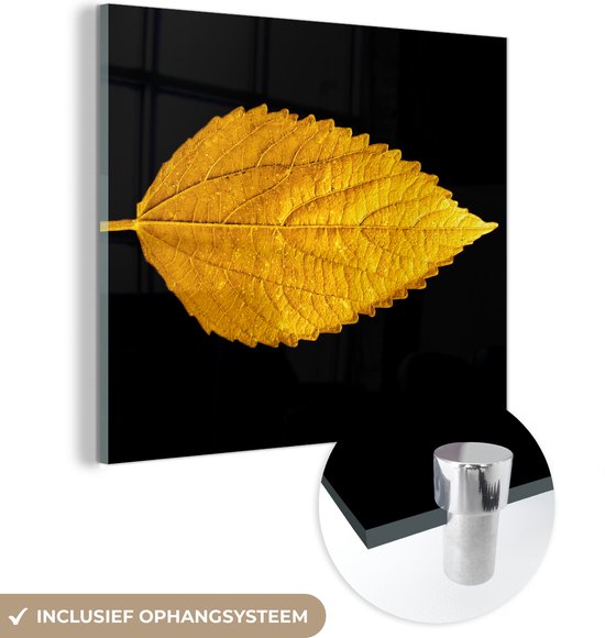Glasschilderij zwart goud - Bladeren - Goud - Botanisch - Luxe - Natuur ...