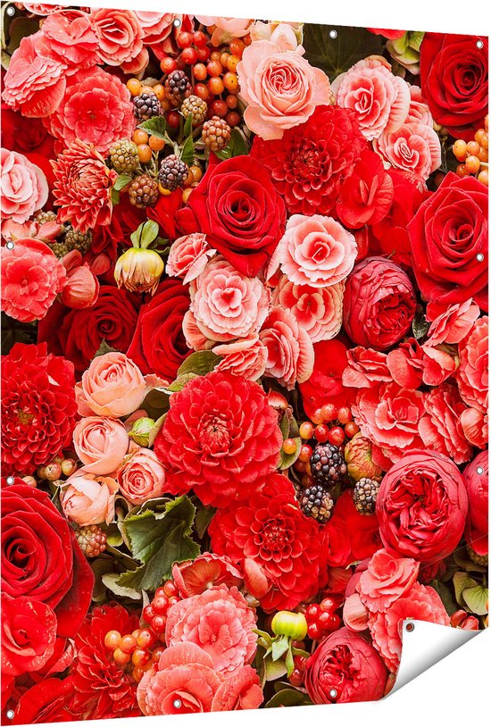 Gards Affiche de jardin Fleurs rouges et roses avec fruits - Abstrait ...