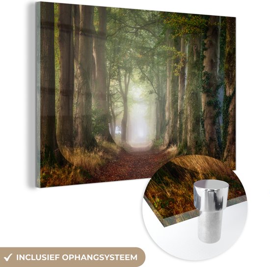 MuchoWow® Glasschilderij 150x100 cm - Schilderij acrylglas - Bos - Pad ...