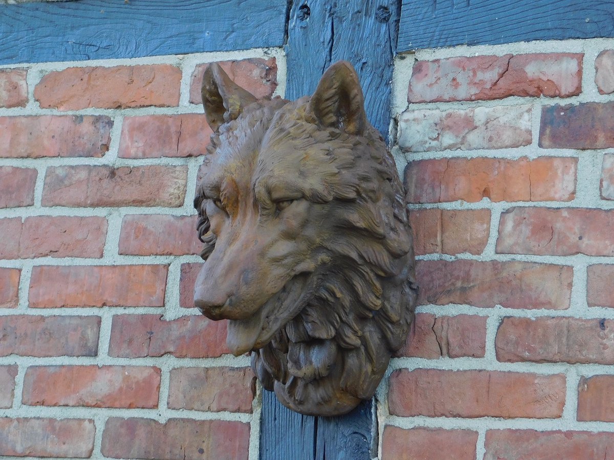 Wanddecoratie wolf, wolvenkop deco, dierenbeeld, beeld wolf | bol.com