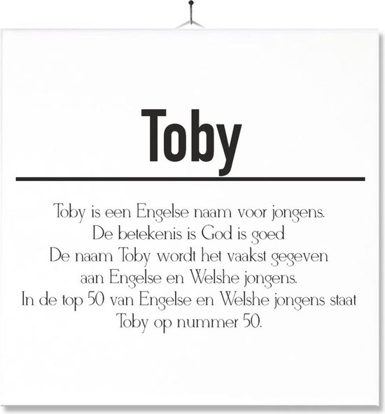 Tegel Met Opdruk | Betekenis | Kado | Cadeau | Met Naam - Toby | bol
