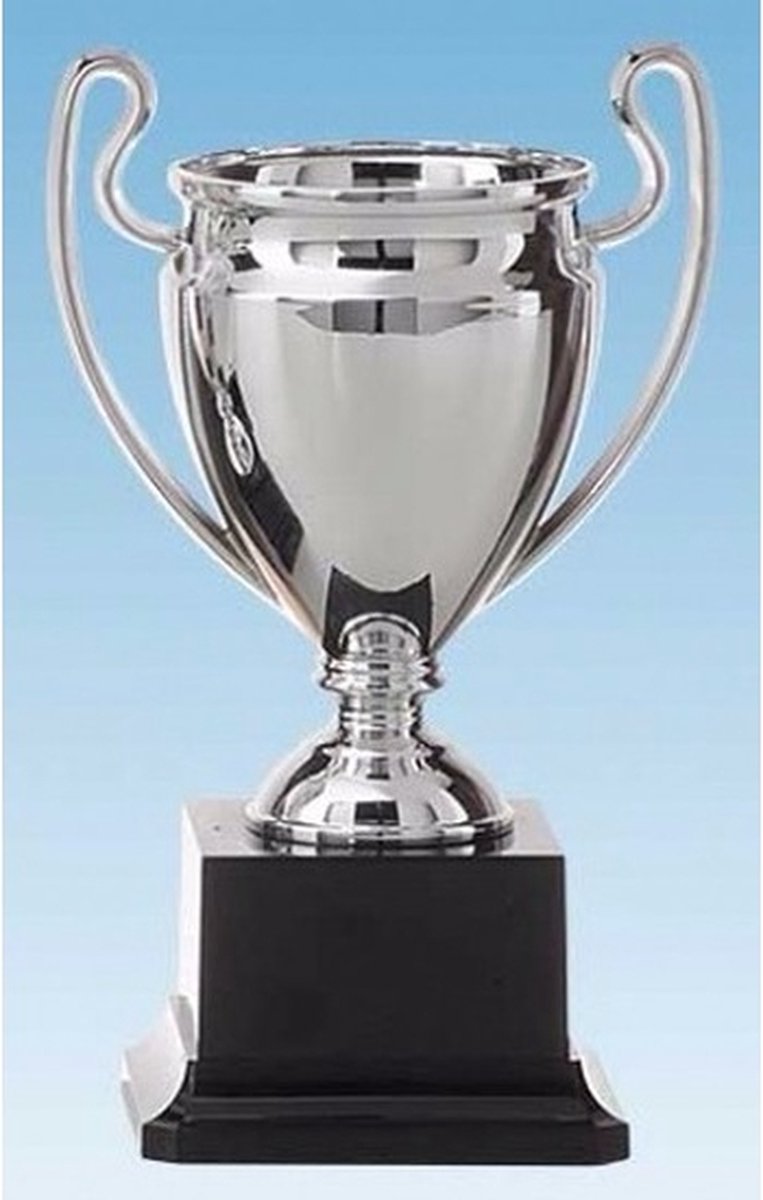Grote zilveren trofee beker met oren 18 cm | bol