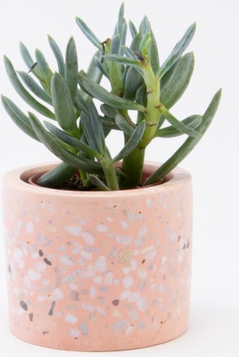 Terrazzo bloempotjes - roze - 6 stuks - leuke bloempotjes - als ...