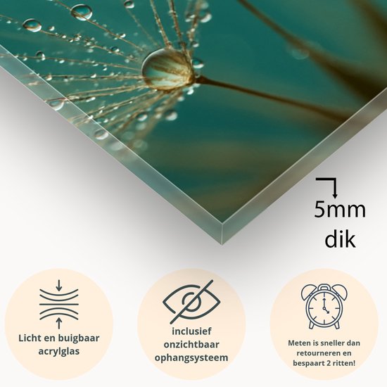 Druppel muurdecoratie – plexiglas – acrylglas – 80x120 cm | bol