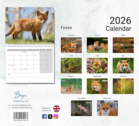 Wandkalender 2026 Maandkalender A4 Hangen met Ruimte voor Notities en ...