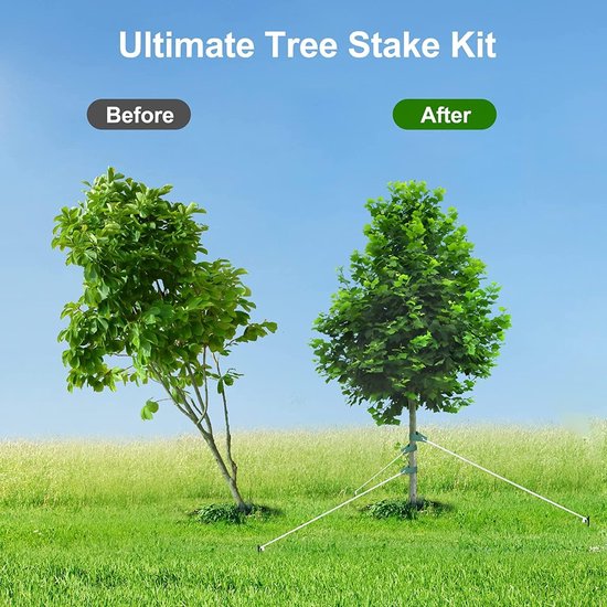 8 Pcs Tree Stake Kit - 3 Pack 30 cm Heavy Duty Tree Stake - met 3 ...