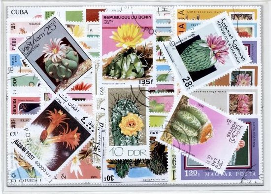 Cactussen – Luxe postzegel pakket (A6 formaat) : collectie van 100 ...