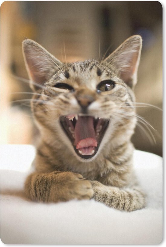 Muismat Close-up Katten - Gapende kat van dichtbij muismat rubber ...