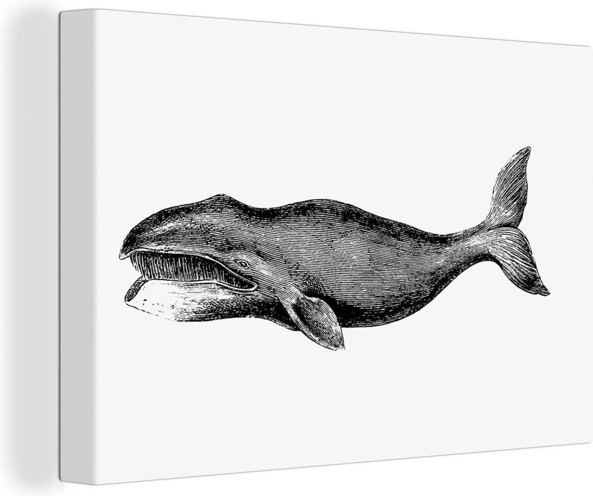 Canvas Schilderij Retro - Walvis - Dieren - 120x80 cm - Wanddecoratie ...