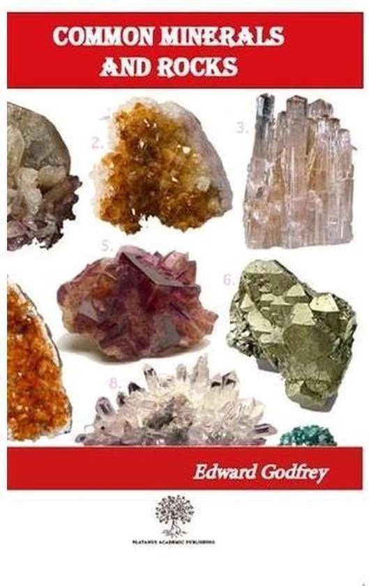 Common Minerals and Rocks | 9786257907361 | Boeken | bol.com