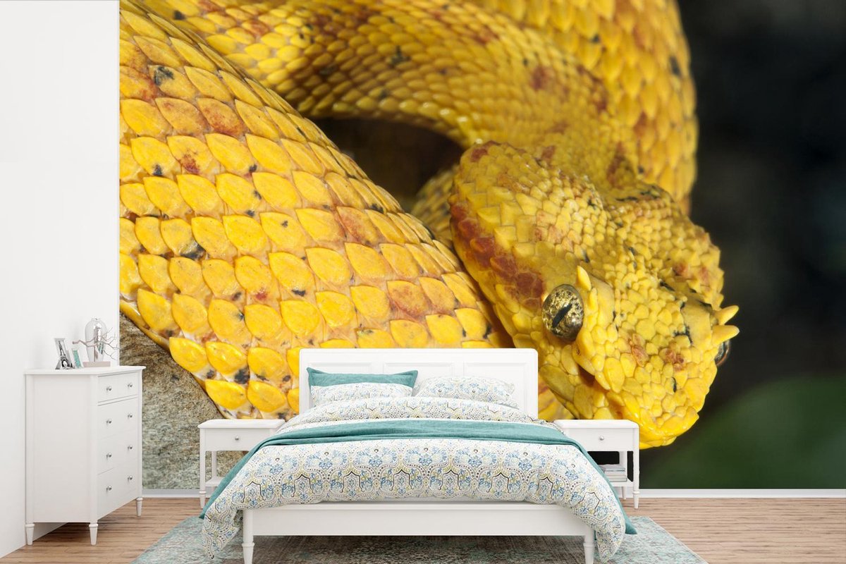 Behang - Fotobehang Slang - Geel - Boom - Breedte 420 cm x hoogte 280 ...