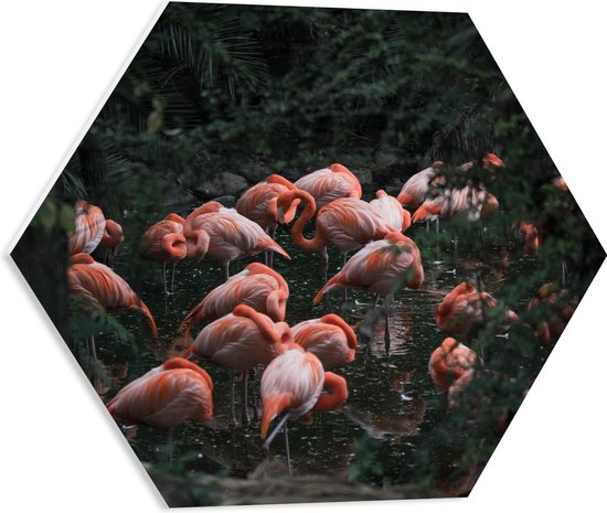 PVC Schuimplaat Hexagon - Groep Flamingo's in het Water tussen Bomen en ...