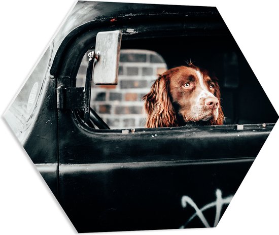 WallClassics - PVC Schuimplaat Hexagon - Bruin met Witte Hond achter ... WallClassics - PVC Schuimplaat Hexagon - Bruin met Witte Hond achter ...