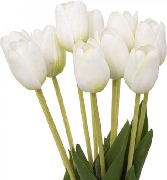 Boeket witte tulpen - hoogte 48 cm , wit - Boeket van 10 stelen - Witte ...