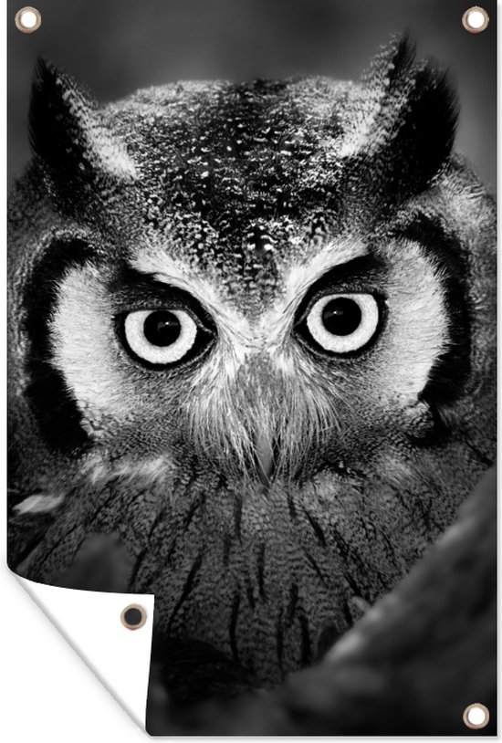 Muurdecoratie Vogel - Uil - Portret- Zwart - Wit - 120x180 cm ...