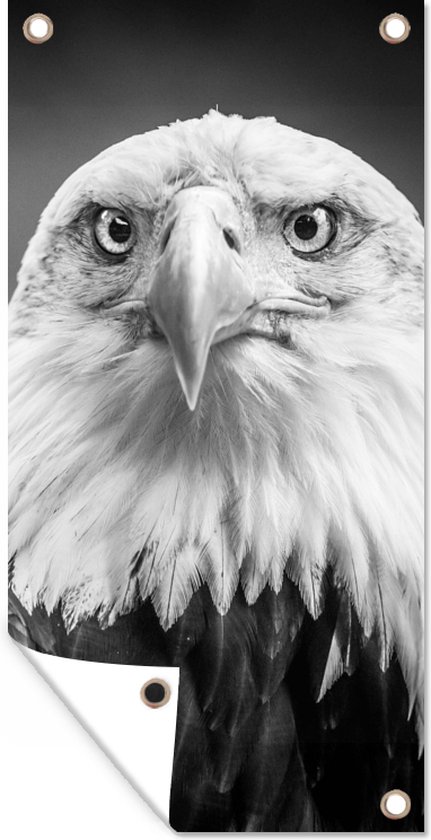 Schuttingposter Arend - Roofvogel - Zwart - Wit - Dieren - 100x200 cm ...