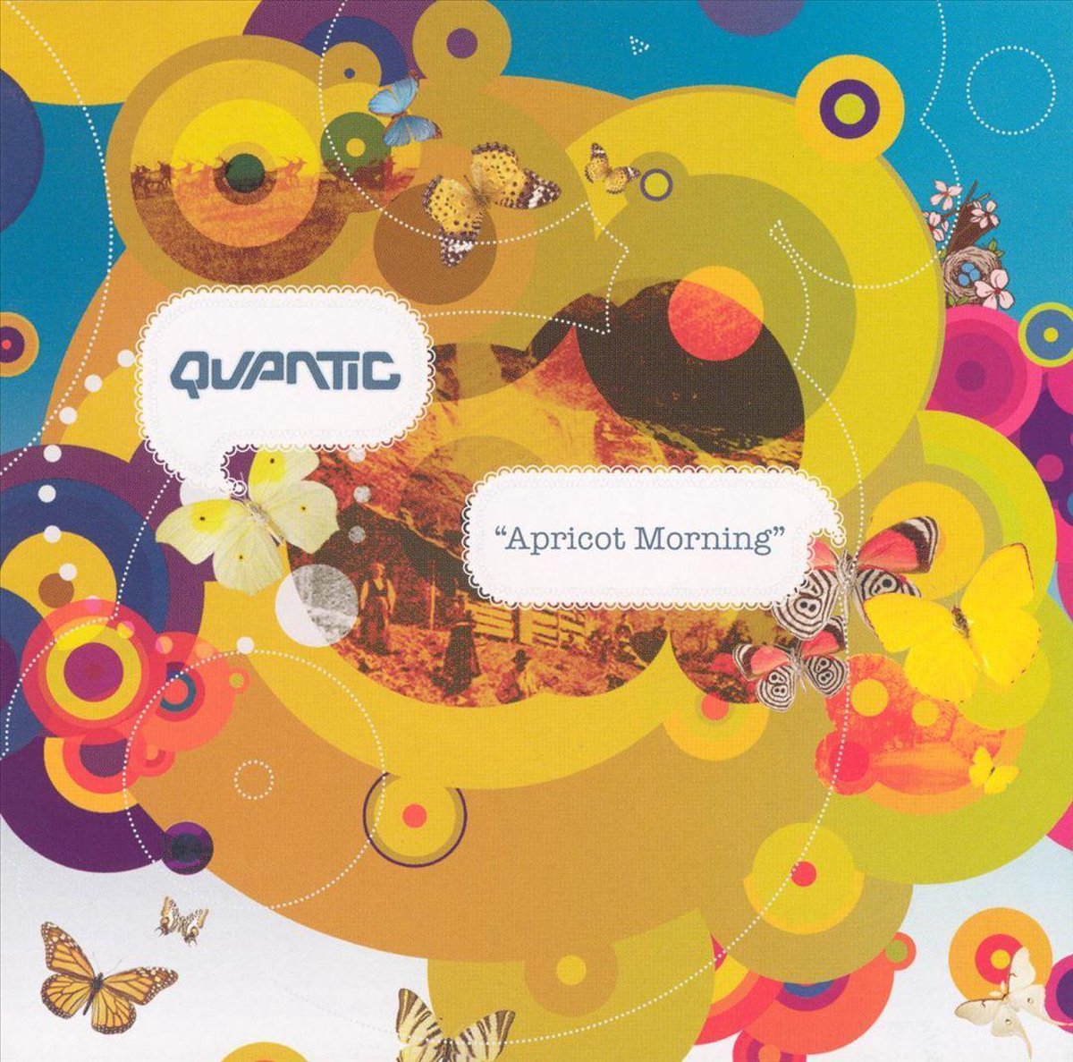 Apricot Morning, Quantic | CD (album) | Muziek | bol.com