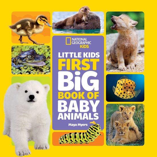 Little Kids First Big Books - Little Kids First Big Book of Baby ...