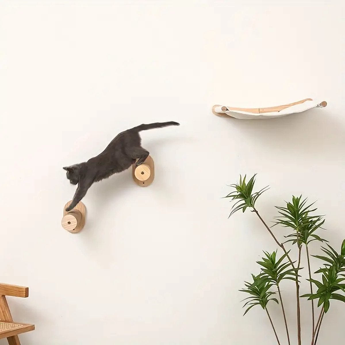 Katten klimmuur 3-Delig incl. kattenhangmat – kat klim muur plankjes ...