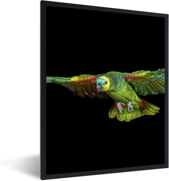 Fotolijst incl. Poster - Papegaai - Vogel - Veren - 30x40 cm ... Fotolijst incl. Poster - Papegaai - Vogel - Veren - 30x40 cm ...