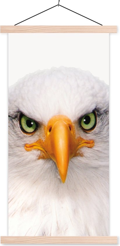 Porte-affiche avec affiche - Affiche scolaire - Garçons - Aigle ...
