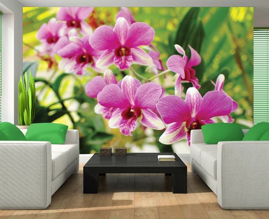 Fotobehang - Vlies Behang - Roze Bloemen - 416 x 254 cm | bol