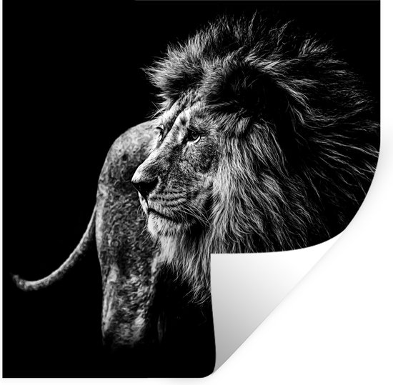Muurstickers - Sticker Folie - Dieren - Wild - Leeuw - Zwart - Wit - 120x120 cm -... | bol