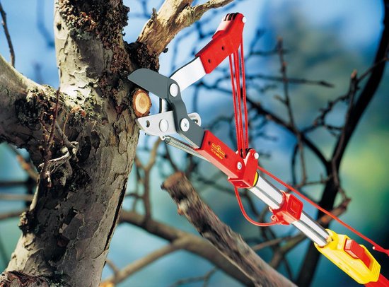 WOLF-Garten Takkenschaar RC-M - Telescopische boomschaar op steel | bol