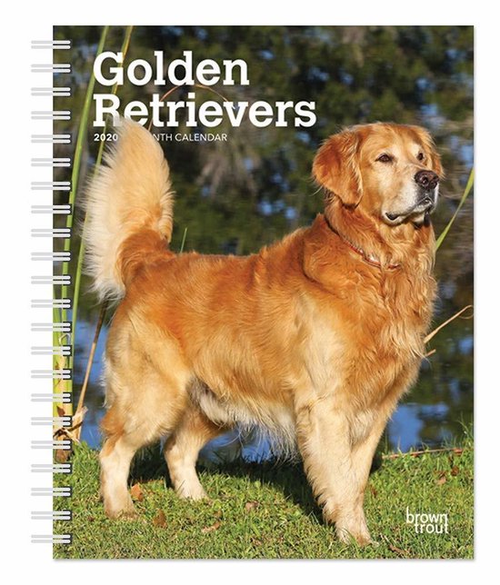 Golden Retrievers 2020 Diary | bol.com