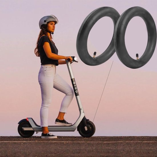 2 stuks 60/70-6,5 inch dubbele sterkte, met 2 bandensticks, 10 x 2,5 E ...