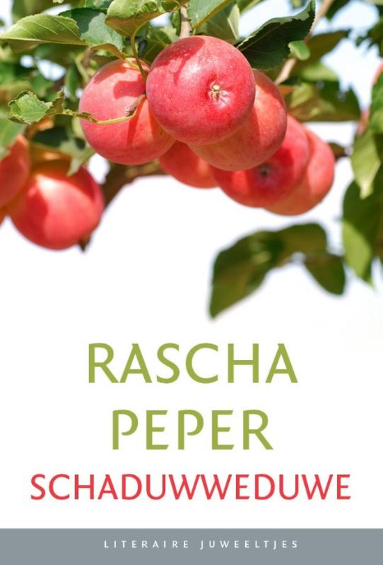 Literaire Juweeltjes - Schaduwweduwe (set van 10) | 9789085166559 ...