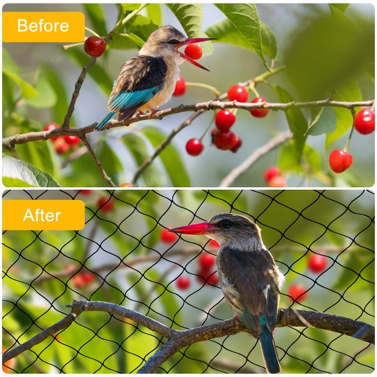 Tuin Netting 25 'x50' met 2.4" Vierkante Mesh Net Vogel Netting voor ...