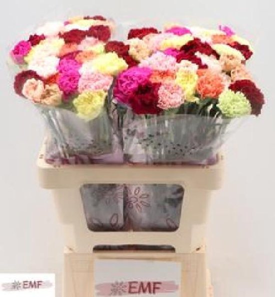 20x Dian.mix/bos happy 60cm | bol