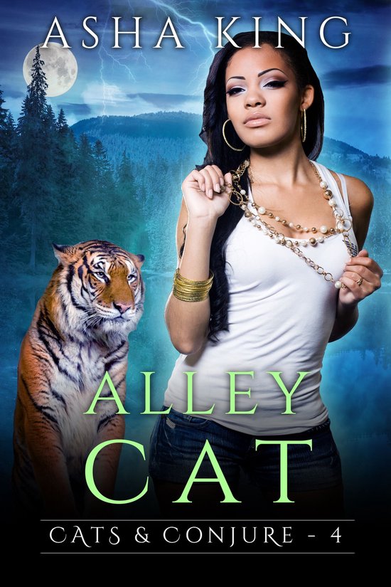 Cats & Conjure 4 - Alley Cat (ebook), A. King | 1230000905862 | Boeken ...