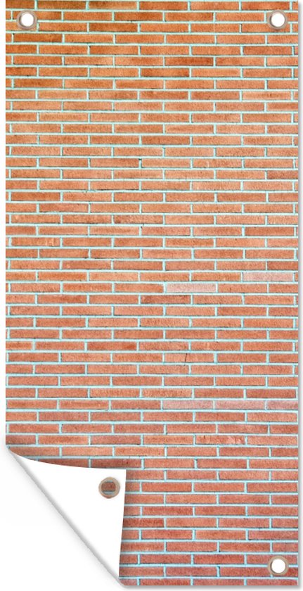 Schuttingposter Baksteen - Bruin - Muur - 100x200 cm - Tuindoek | bol