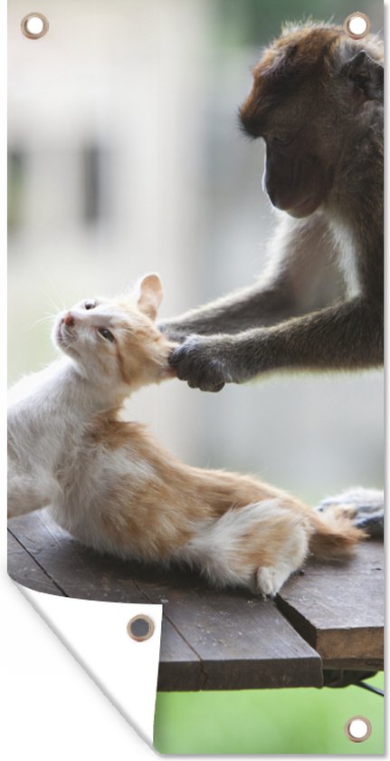 Décoration murale extérieure Chat - Singe - Bois - 80x160 cm - Toile de ...