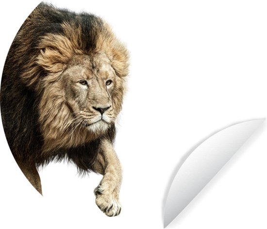 WallCircle - Muurstickers - Behangcirkel - Leeuw - Wit - Dieren - ⌀ 120 cm -... | bol