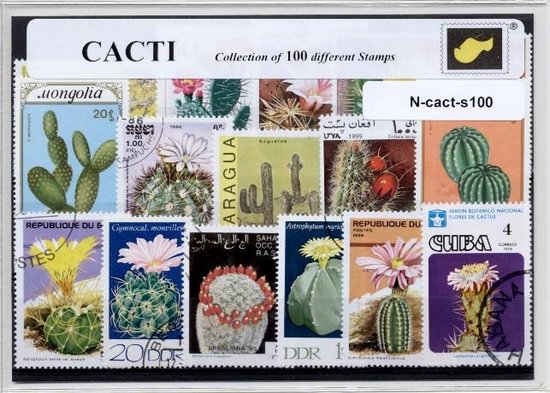 Cactussen – Luxe postzegel pakket (A6 formaat) : collectie van 100 ...