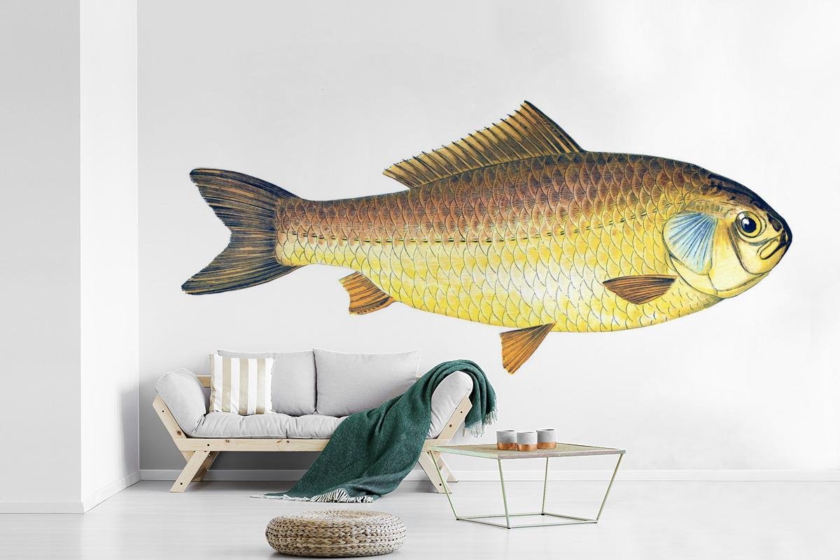 Behang - Fotobehang Vis - Giebel- Realisme - Breedte 360 cm x hoogte ...