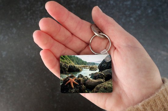 Sleutelhanger - Zee - Stenen - Zeester - Uitdeelcadeautjes - Plastic | bol