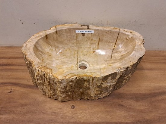 Waskom van versteend hout - 50x35x15cm - FL22704 | bol