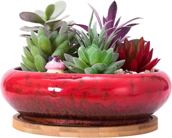 185 cm grote bonsaipot met dienblad - Keramische vetplant met ...