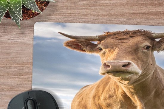 Muismat Koeien - Lichtbruine koe muismat rubber - 40x60 cm - Muismat ...