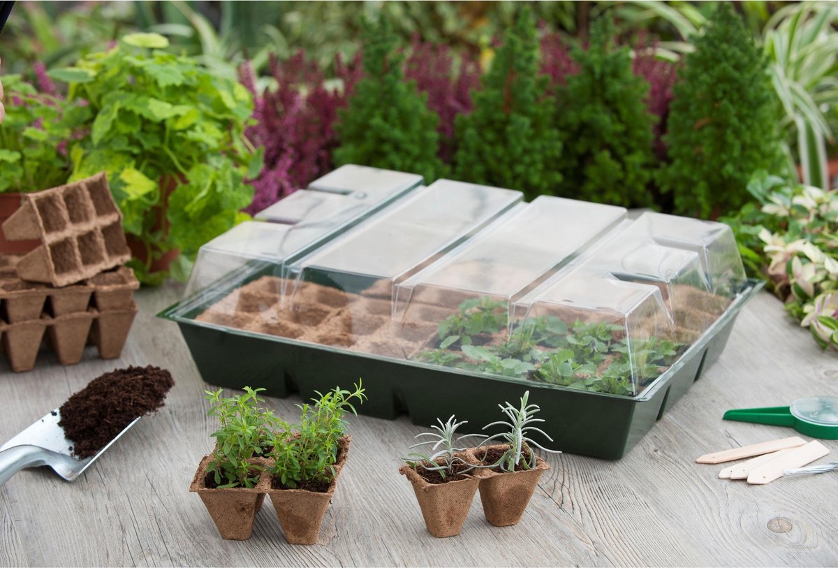 Nature Kweekkas met veenbakken H13x43x32.5 cm | bol