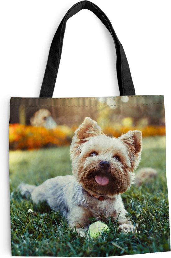 Schoudertas - Strandtas - Shopper Yorkshire Terrier liggend in het gras ...