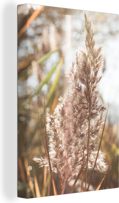 Canvas Schilderij Riet - Zon - Plant - 40x60 cm - Wanddecoratie | bol