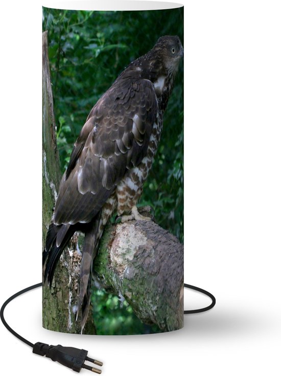 Lampe Honey Buzzard - Une Honey Buzzard sur une branche cassée - 70 cm ...