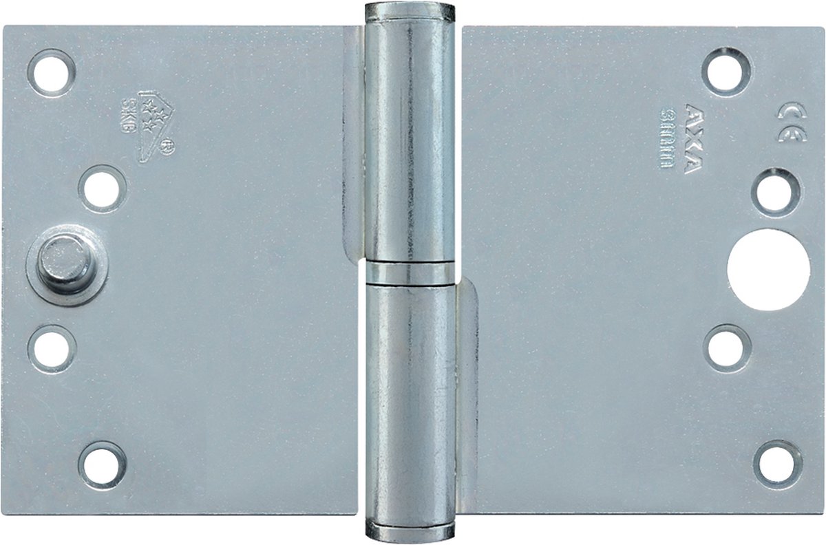 AXA Veiligheids kogelstift-paumelle TGS 89 x125mm d1/L 1200-38-23/V4E ...